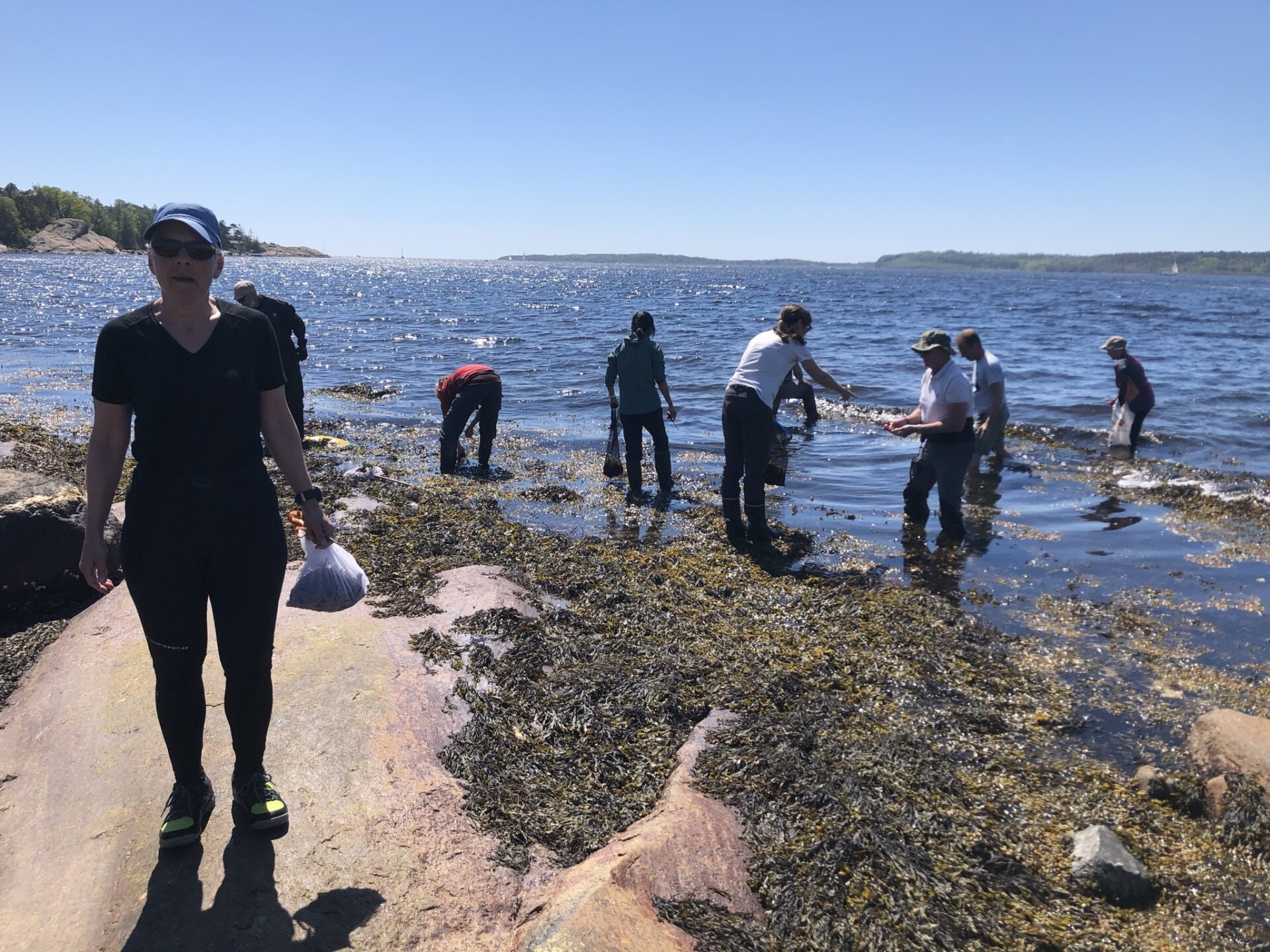 Tangsafari i Engelsviken - Ting med Tang