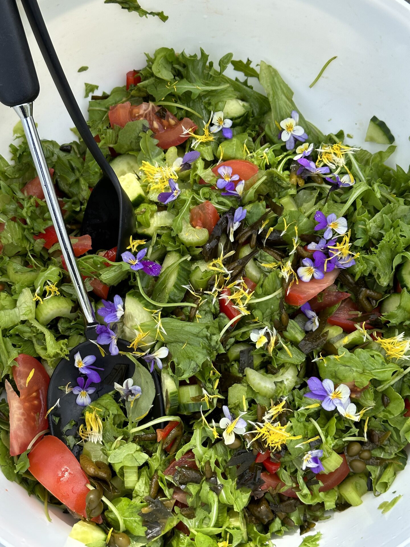 Salat med fersk tang og nyttevekster - Ting med Tang