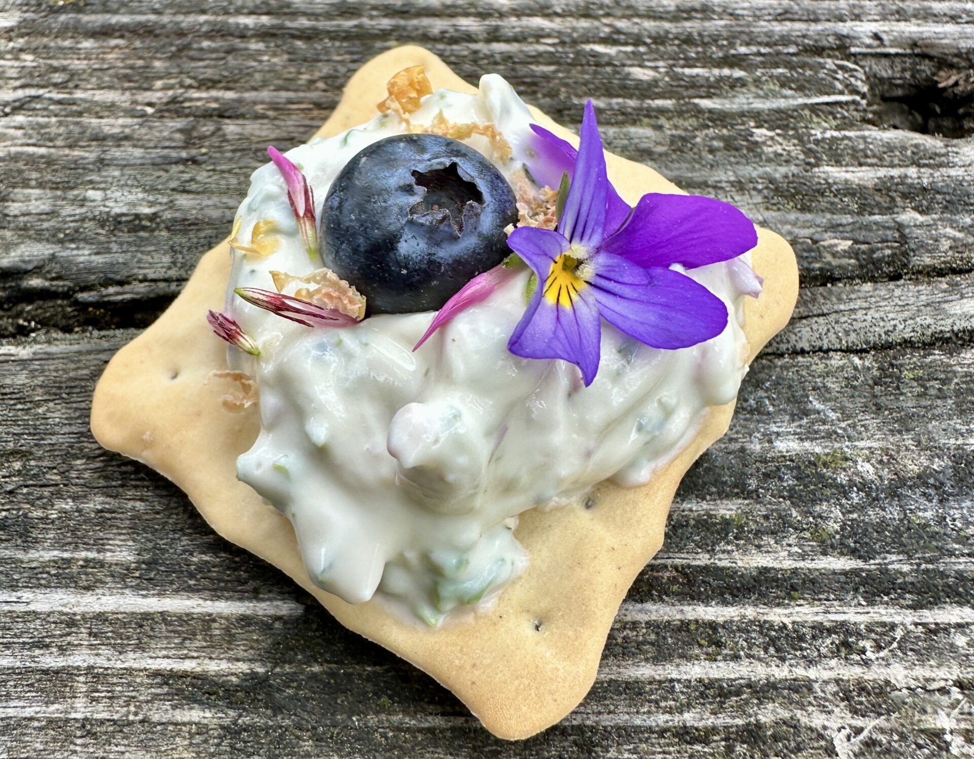 Enkel ostekake med tang og sesongens bær og blomster - Ting med Tang